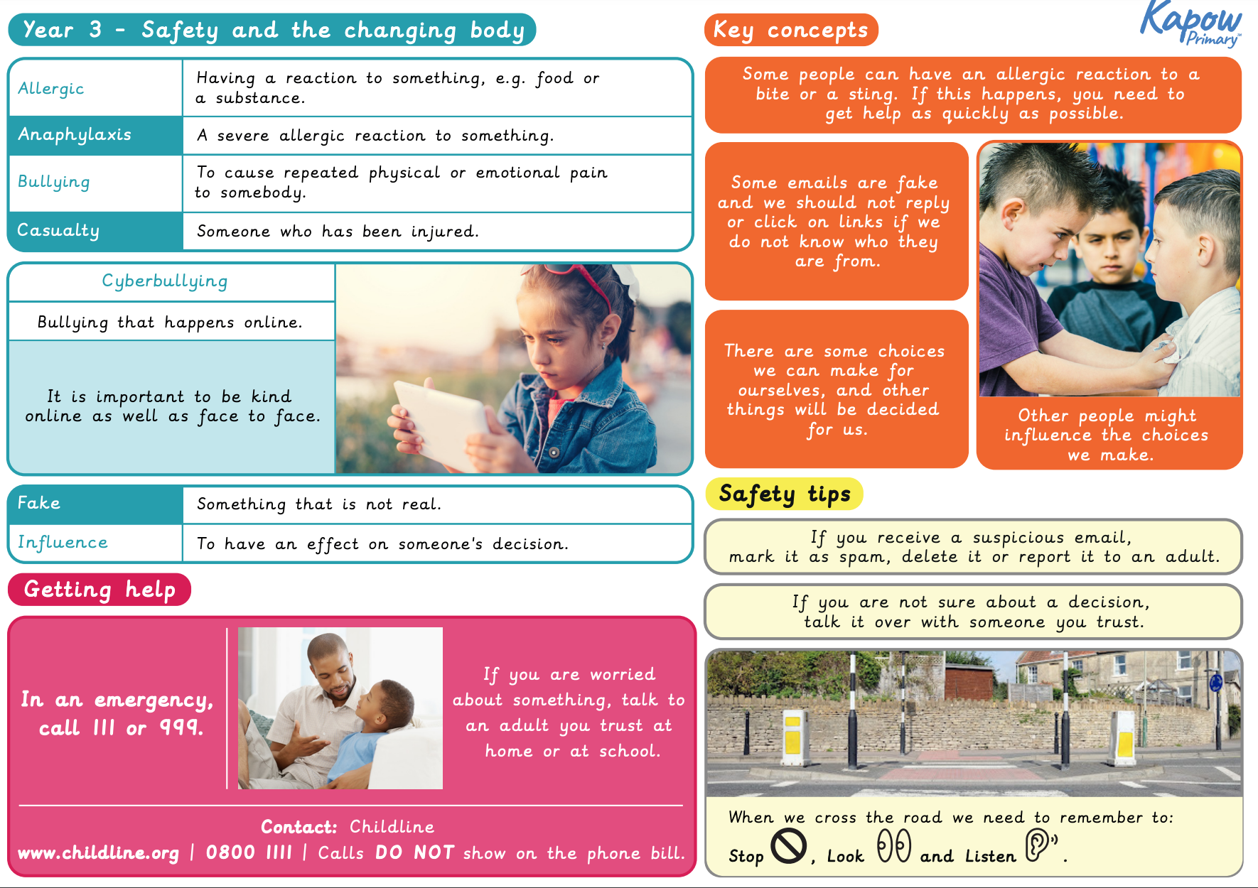 Knowledge and Vocabulary RSE Year 3 Resource - Kapow Primary