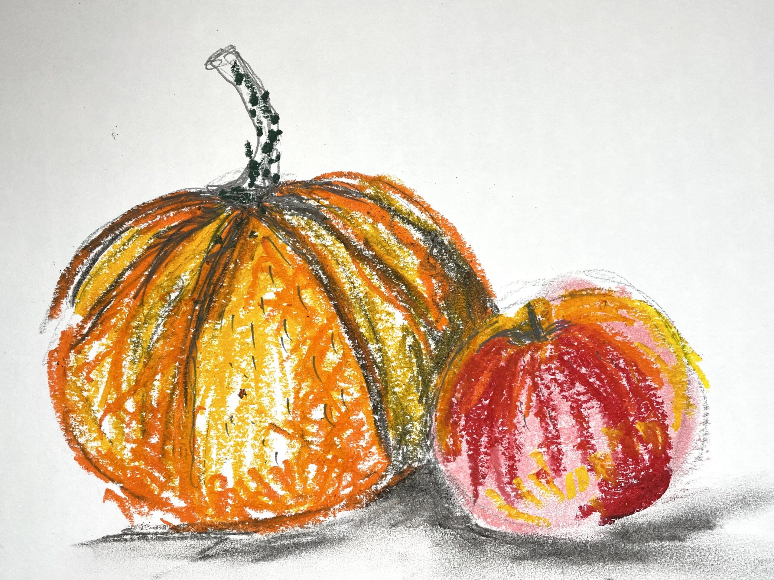 Lesson 5: Drawing from observation