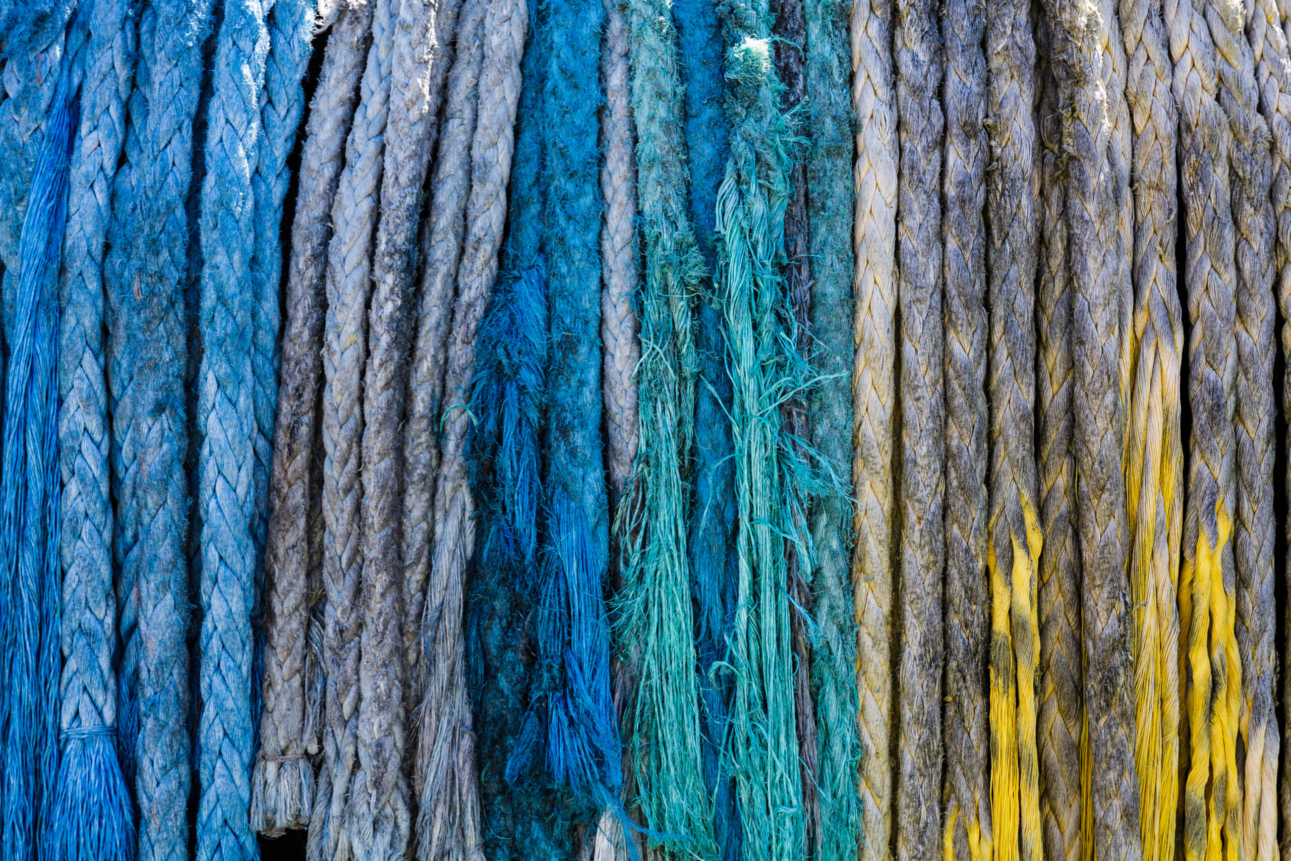 KS1 Art Lesson Plan | Creating Texture