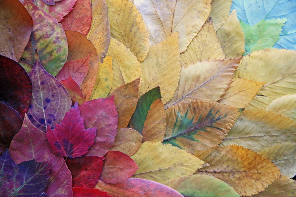 Reception Art Lesson Plan | Landscape Collage