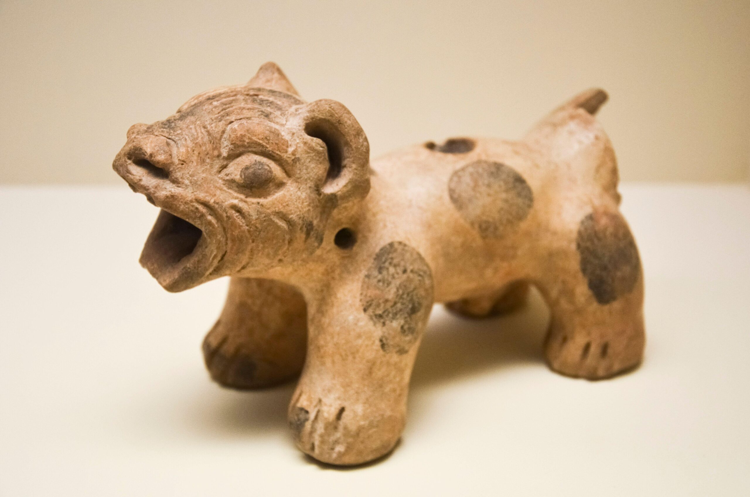 Lesson 4: Designing animal sculptures