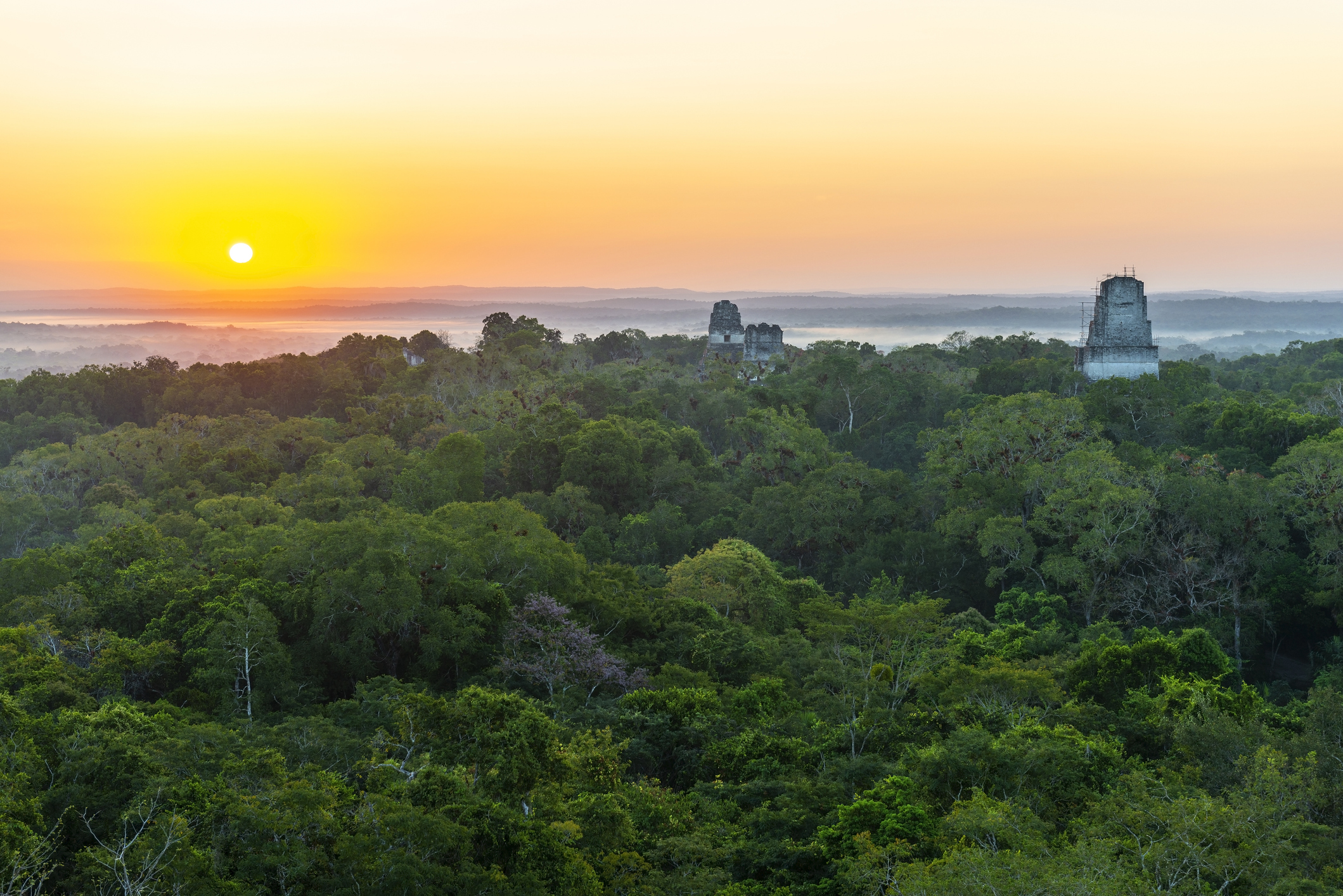 Lesson 2: How did the Maya settle in the rainforest?