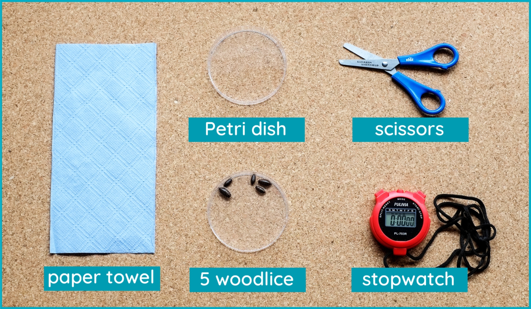 Lesson 4: Planning an experiment