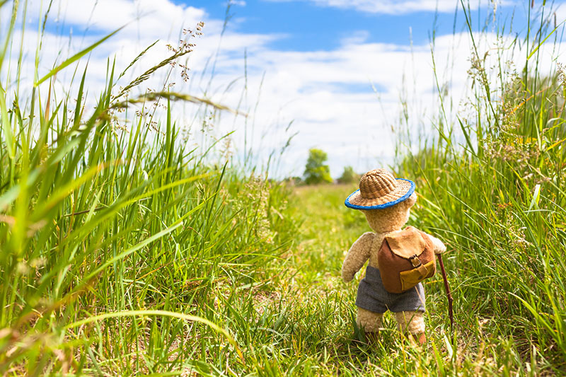 Spanish lesson plan Year 3 | Latin America | Travelling teddy