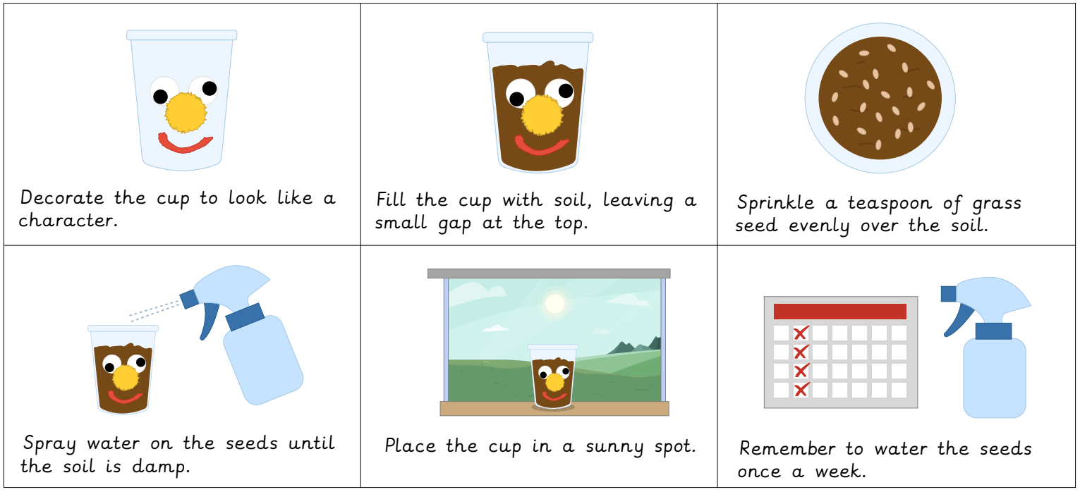 Lesson 4: Planting seeds